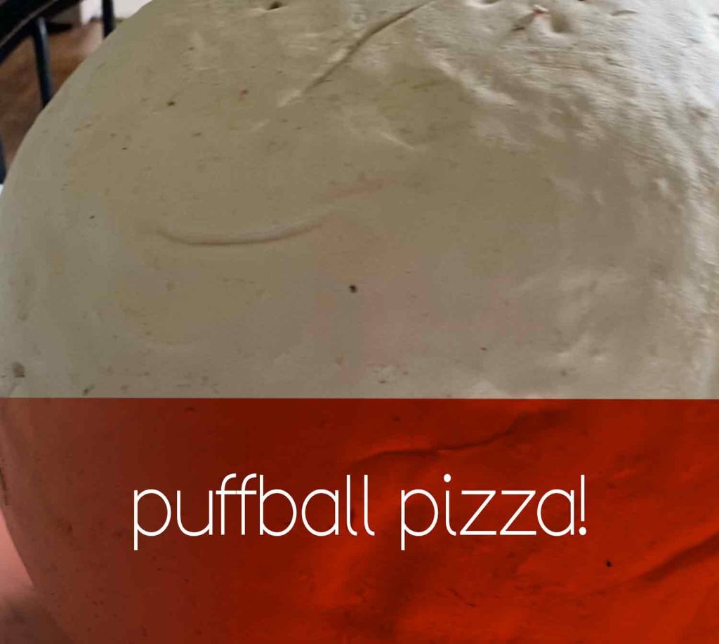 Puffball Pizza - Life In The Green.House