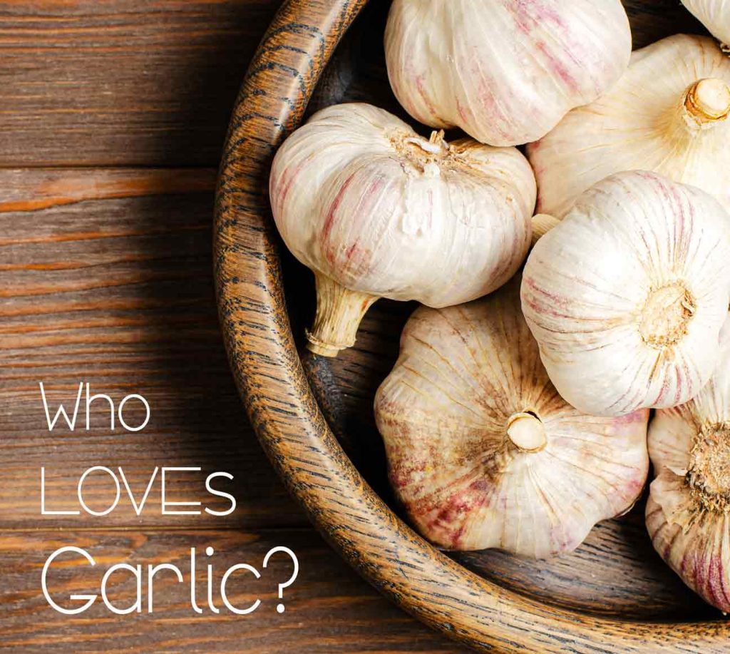 How and When to Plant Garlic - Life In The Green.House