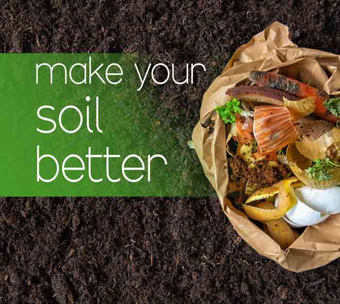 How to Improve your Garden Soil for Spring - Life In The Green.House