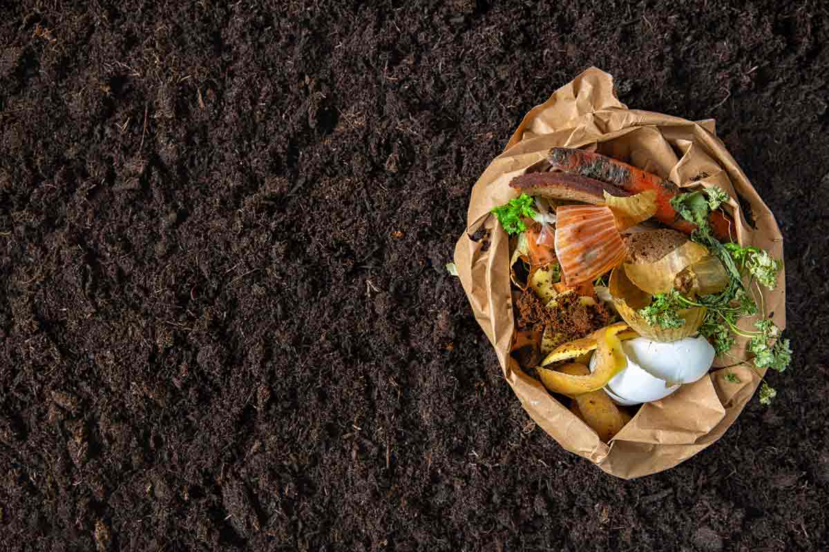 How to Improve your Garden Soil for Spring - Life In The Green.House