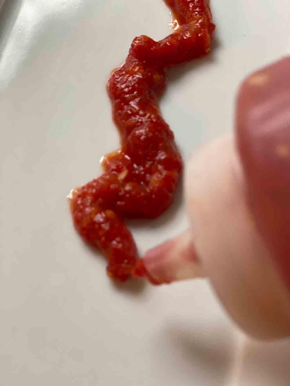 Homemade Ketchup Recipe - Life In The Green.House