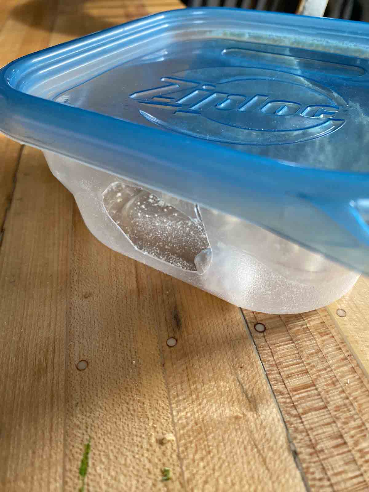 How to Get Rid of Mice - Life In The Green.House