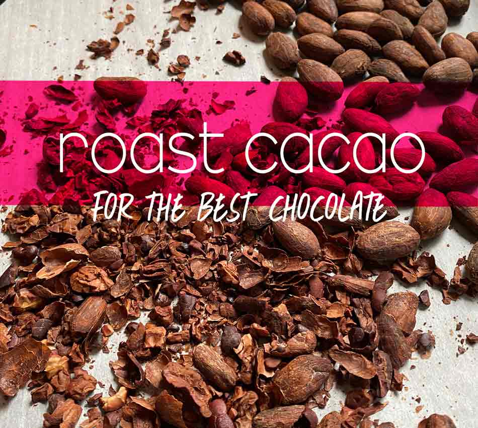 Roast Cacao Beans for Best Chocolate Taste - Life In The Green.House